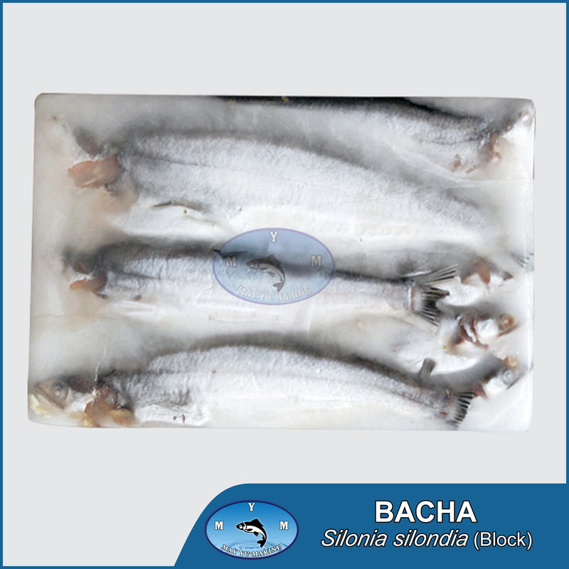Bacha Block Cleaned - ASIA WINNER
