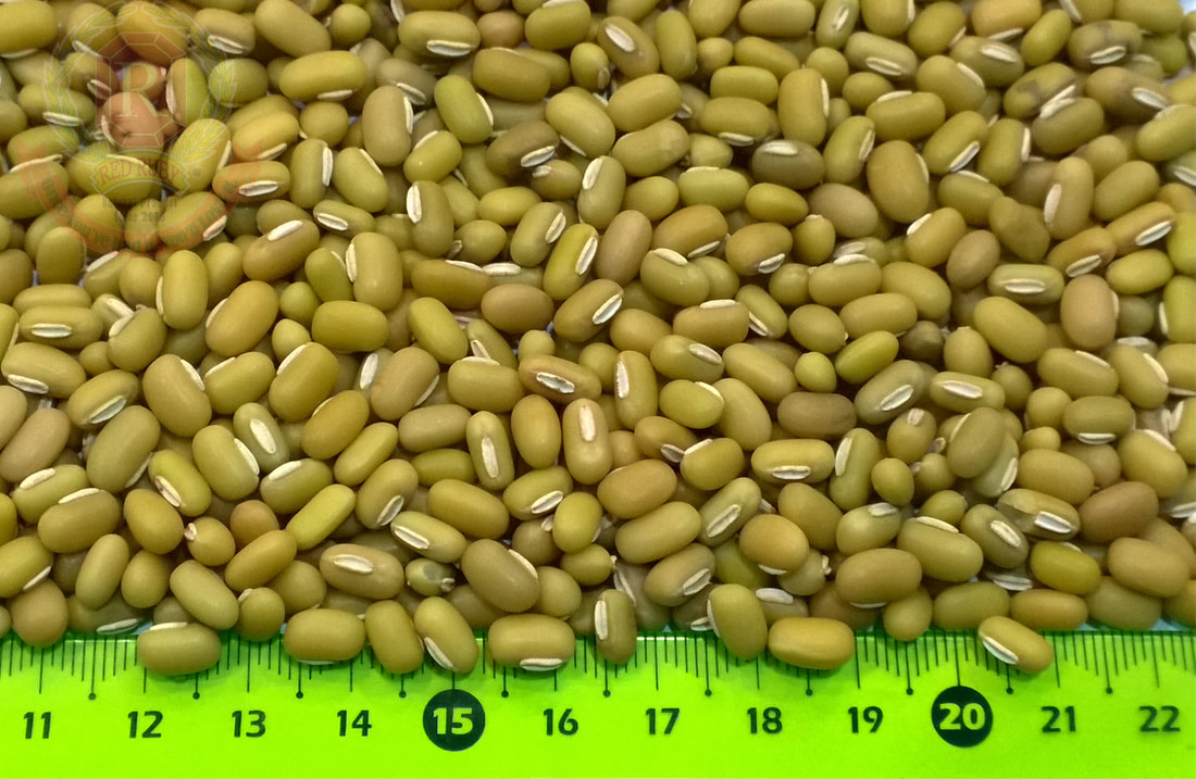 Beans & Pulses - AWI