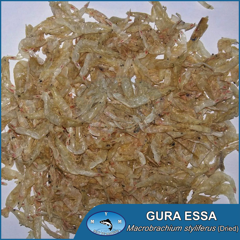 Dried Gura Essa - ASIA WINNER