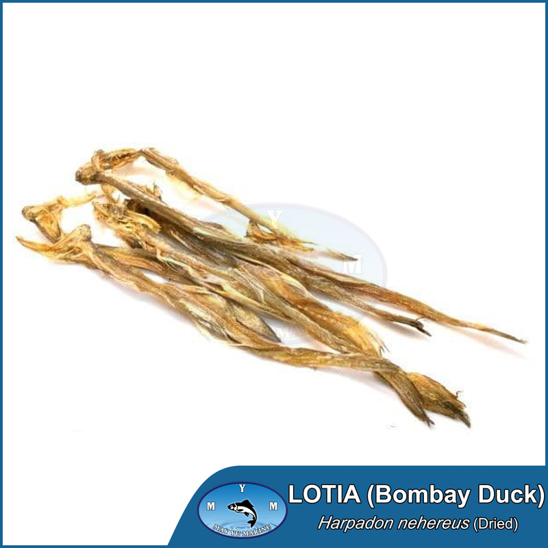 Dried Lotia - ASIA WINNER