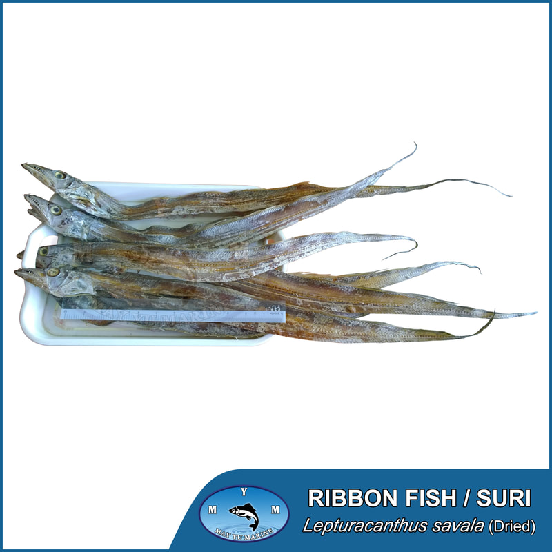 Dried Ribbon Fish / Dried Suri - ASIA WINNER