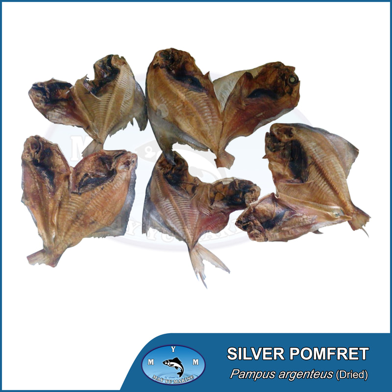 Dried Silver Pomfret - ASIA WINNER
