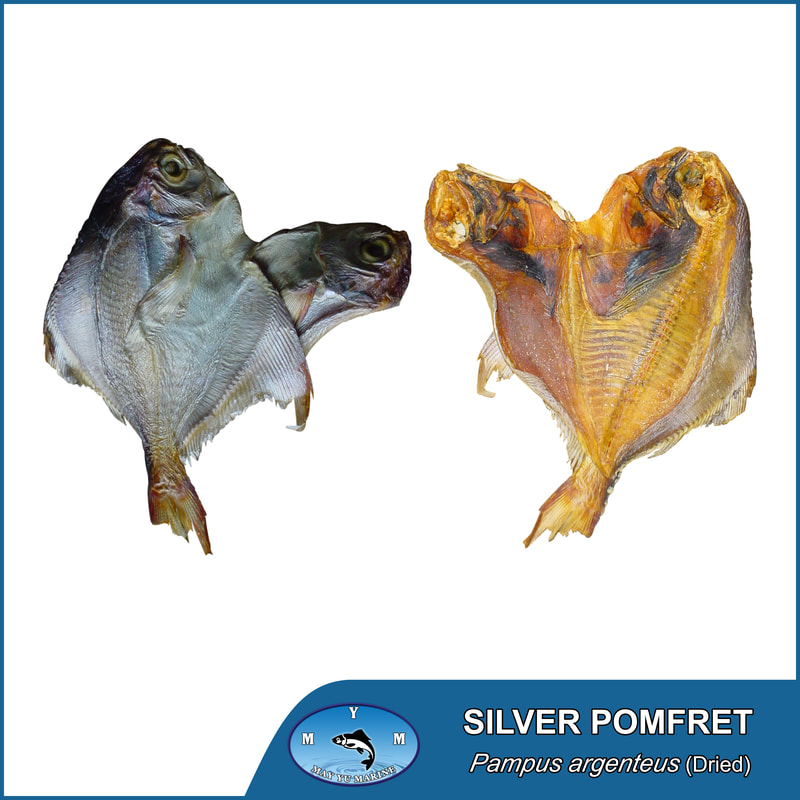 Dried Silver Pomfret - ASIA WINNER