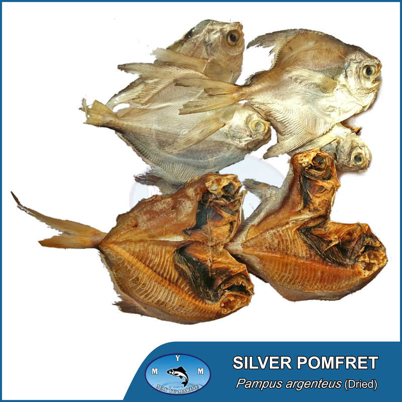 Dried Silver Pomfret - ASIA WINNER