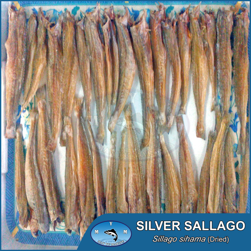 Dried Silver Sallago Ladies Finger - ASIA WINNER