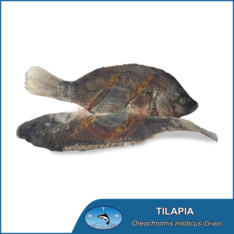 Dried Tilapia - ASIA WINNER