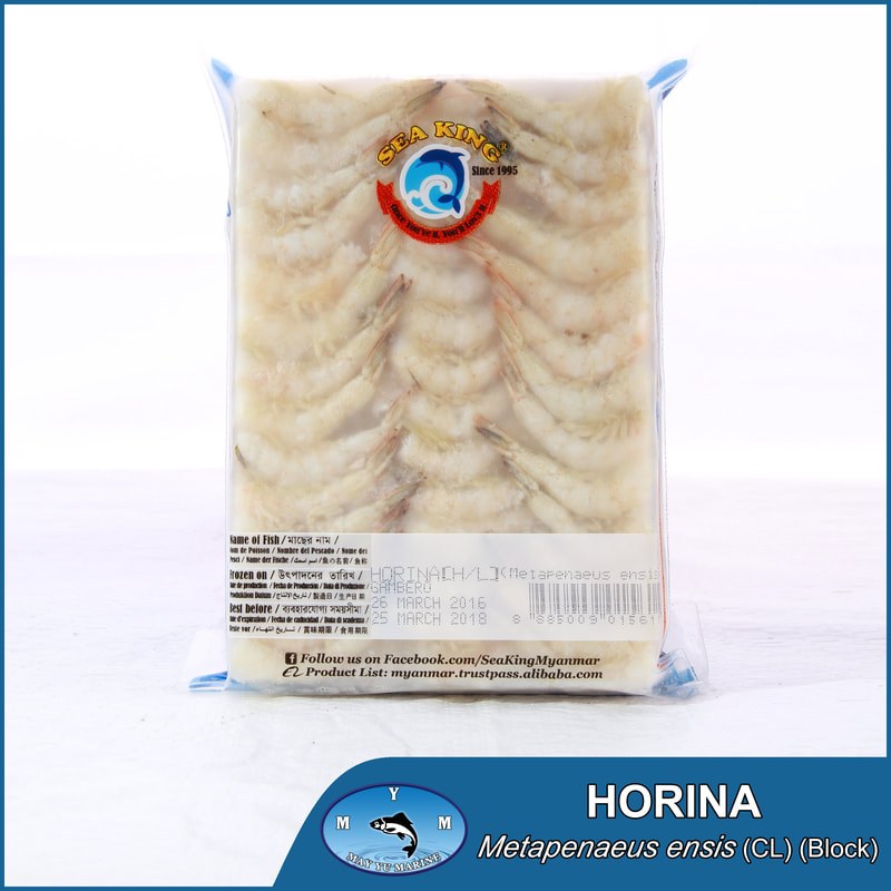 Horina Block - ASIA WINNER