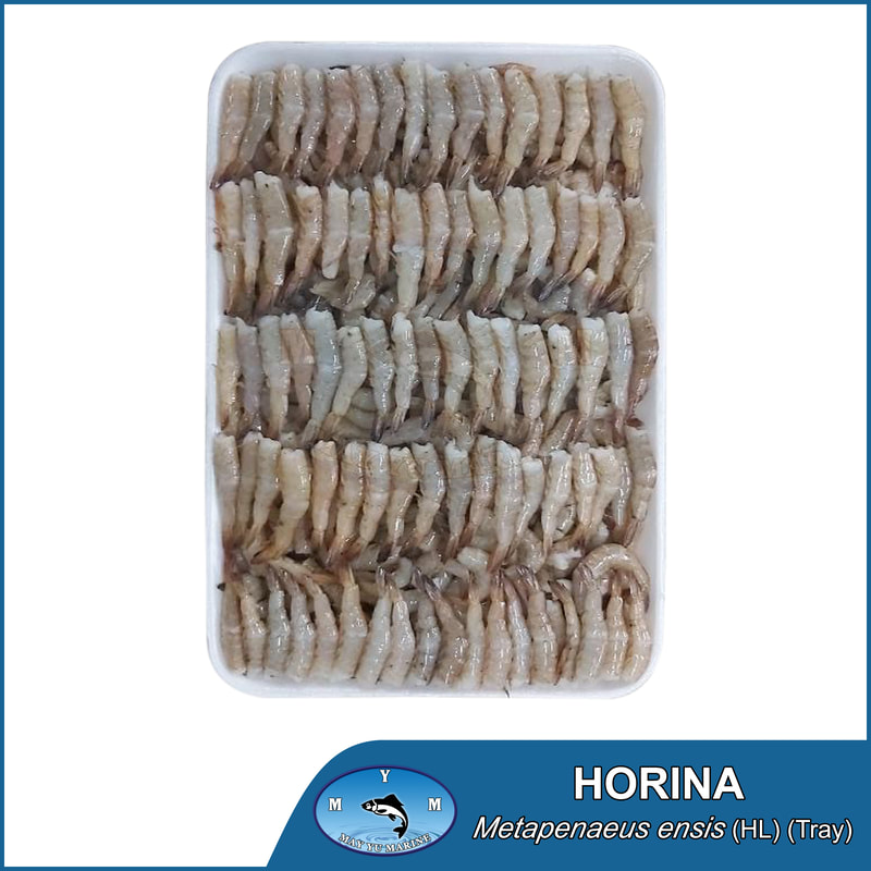 Horina (Tray) - ASIA WINNER