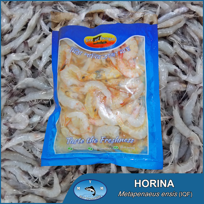 Horina IQF - ASIA WINNER