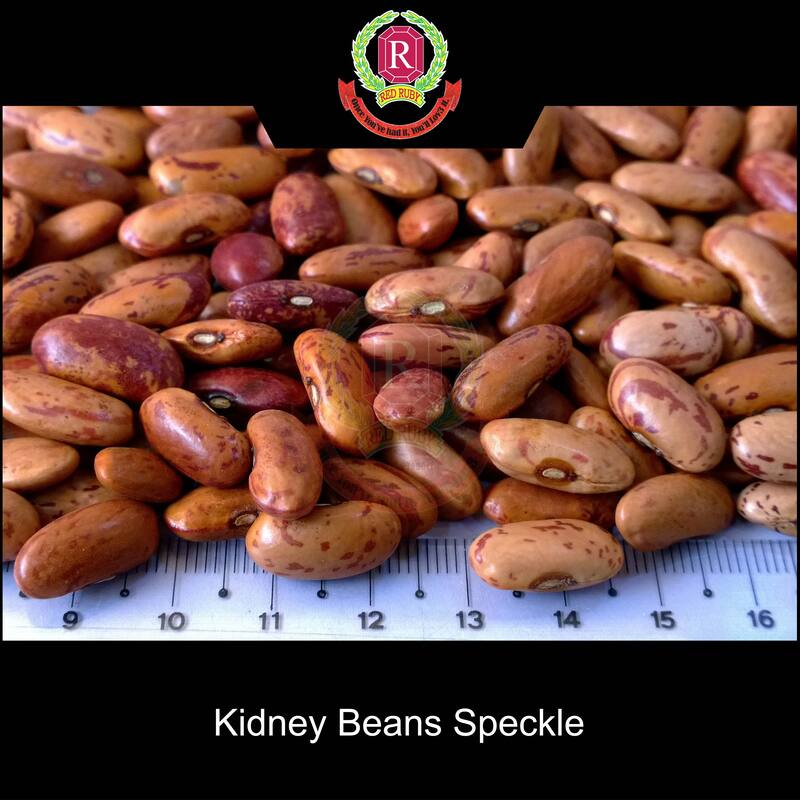 Kidney Beans Speckled - ASIA WINNER