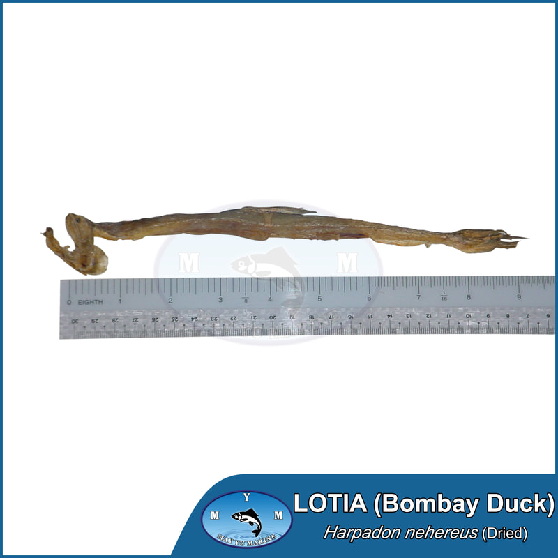Dried Lotia - ASIA WINNER