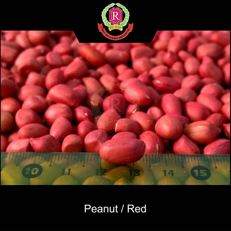 Peanuts (Red) - ASIA WINNER
