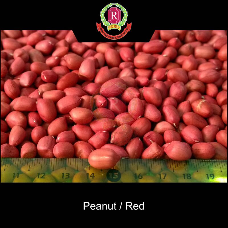 Peanuts (Red) - ASIA WINNER