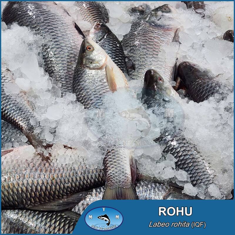 Rohu Whole - ASIA WINNER
