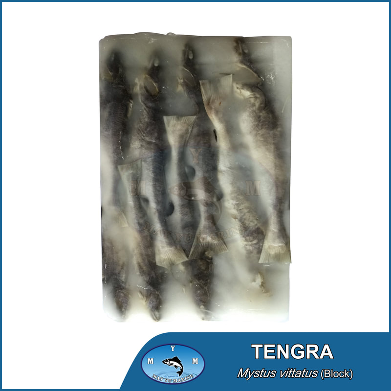 Tengra Block Cleaned - ASIA WINNER